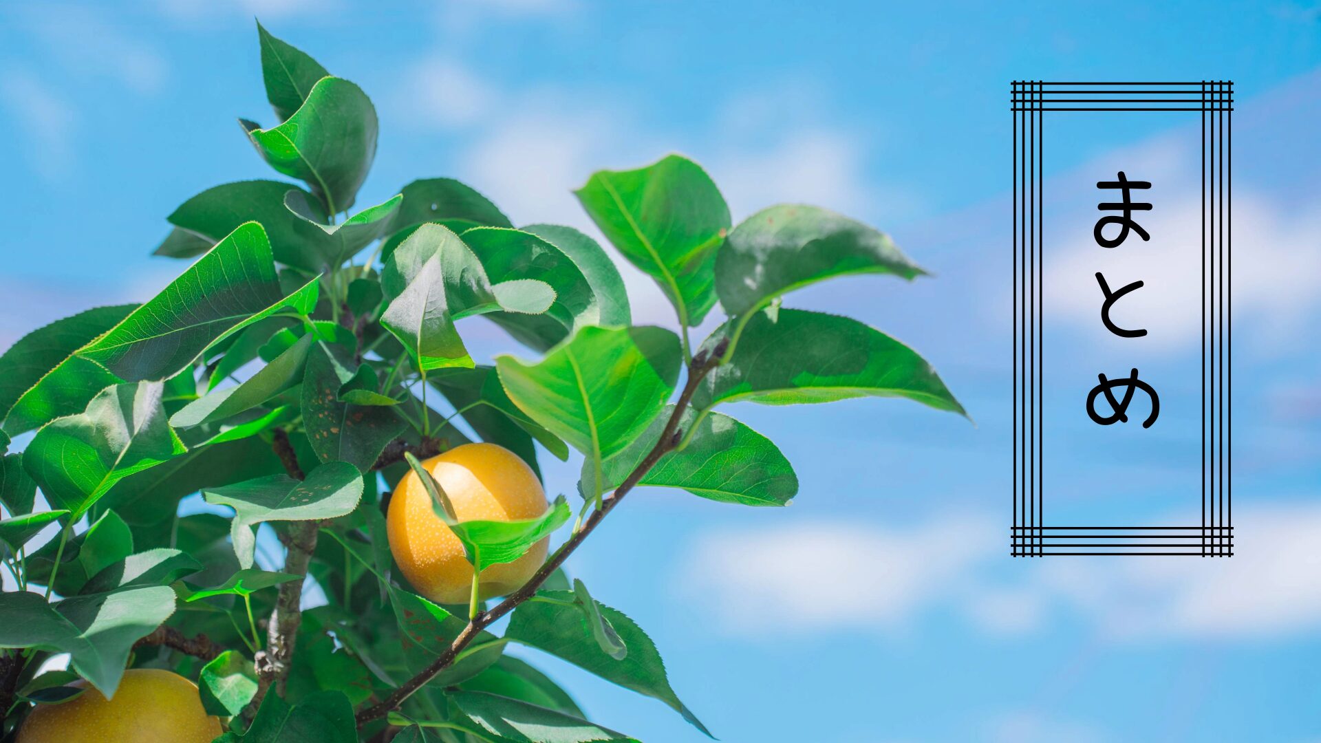 【AAフライトしか勝たん！】2種類のレーティング表の違いと、目指すべき目標 | Focus on Bullseye